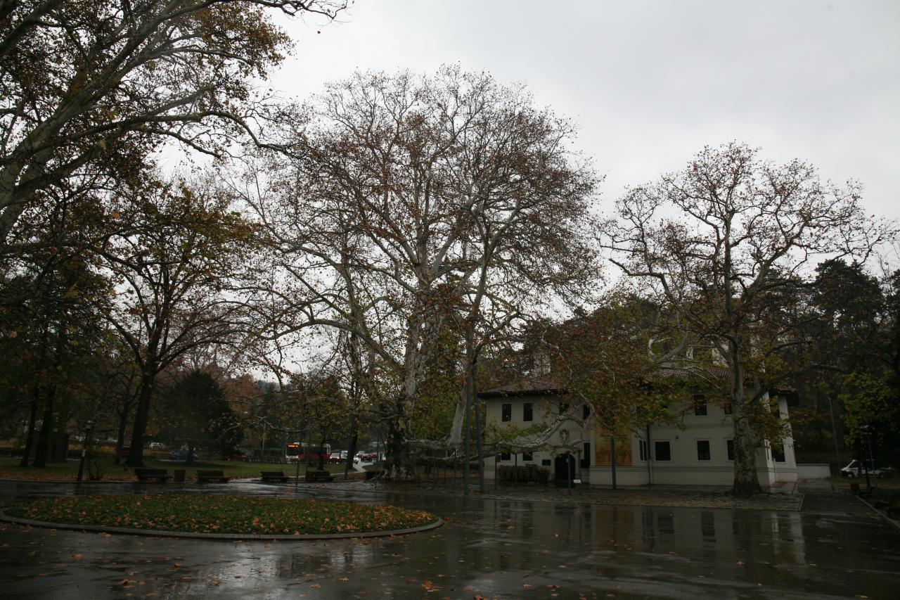 Topčiderski park Beograd, topčider park, pluća Beograda, prvi park u ...