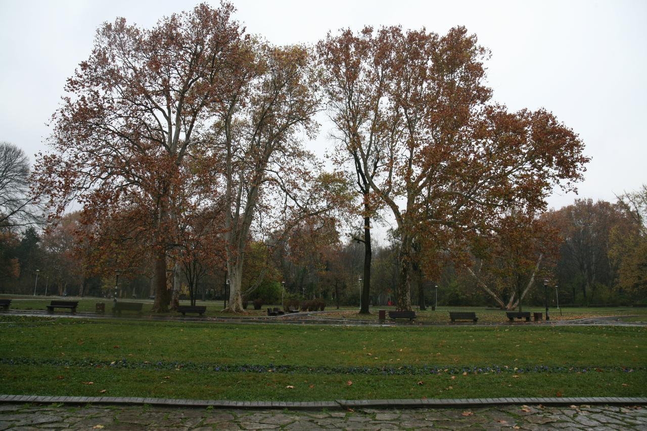 Topcider Park Belgrade, Belgrade Central Park, First Belgrade Park ...